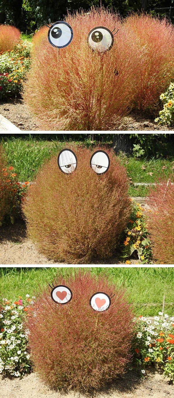 長居植物園 （2022.Oct.） ①: 芳郎のスペース（yoppy702）