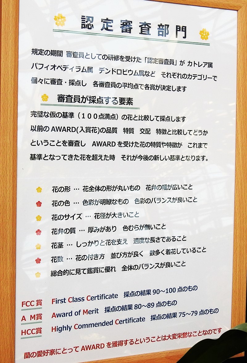 鶴見緑地（2023 Mar.） ② ～ 咲くやこの花館 「ラン展」: 芳郎のスペース（yoppy702）