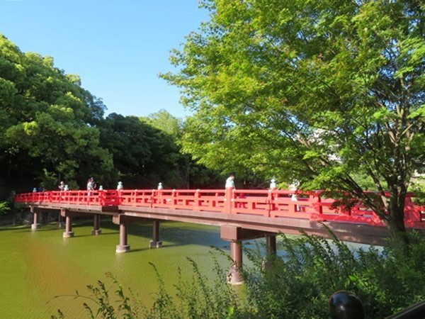 皐月の慶沢園 他（2023）: 芳郎のスペース（yoppy702）