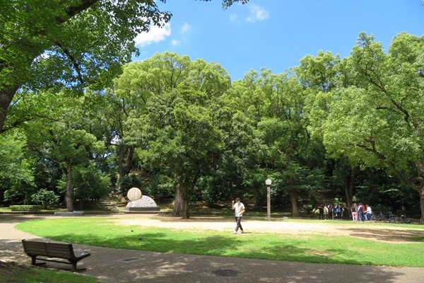 茶臼山のハス ＆ 慶沢園のスイレン 他（2023）: 芳郎のスペース（yoppy702）