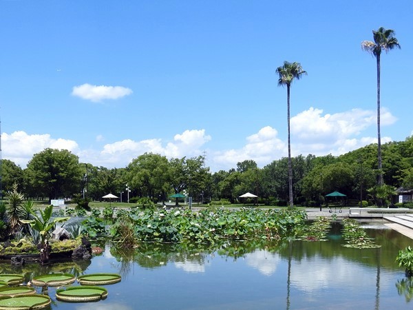 鶴見緑地（2023 Jul.）③ = LAST ～ 「咲くやこの花館」＜後半＞: 芳郎のスペース（yoppy702）