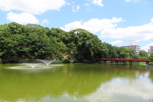 茶臼山 ～ ハス 他 （2024）: 芳郎のスペース（yoppy702）