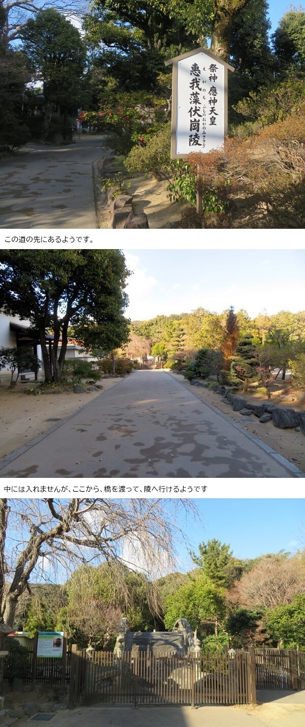 誉田八幡宮、白鳥陵古墳: 芳郎のスペース（yoppy702）