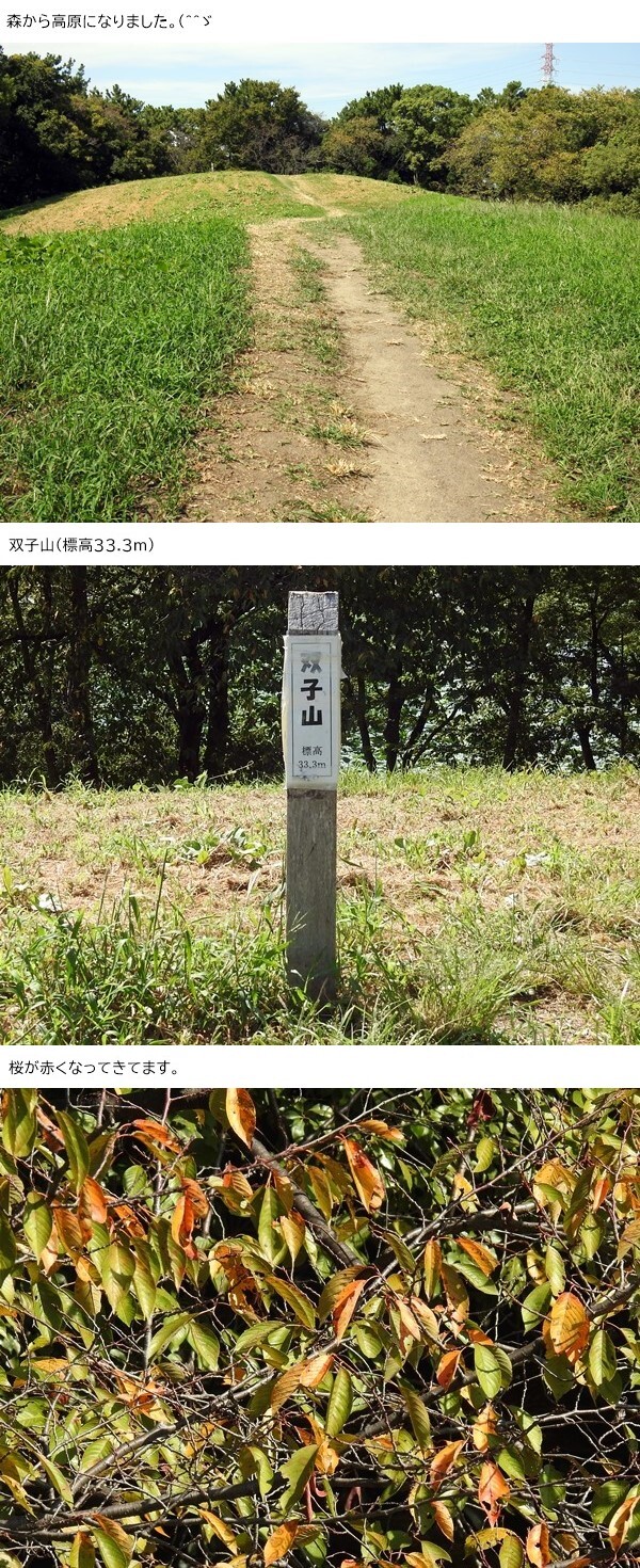 大泉緑地（2025.Sep.） ② ～ かきつばた園＜2＞、はないずみの庭 他: 芳郎のスペース（yoppy702）